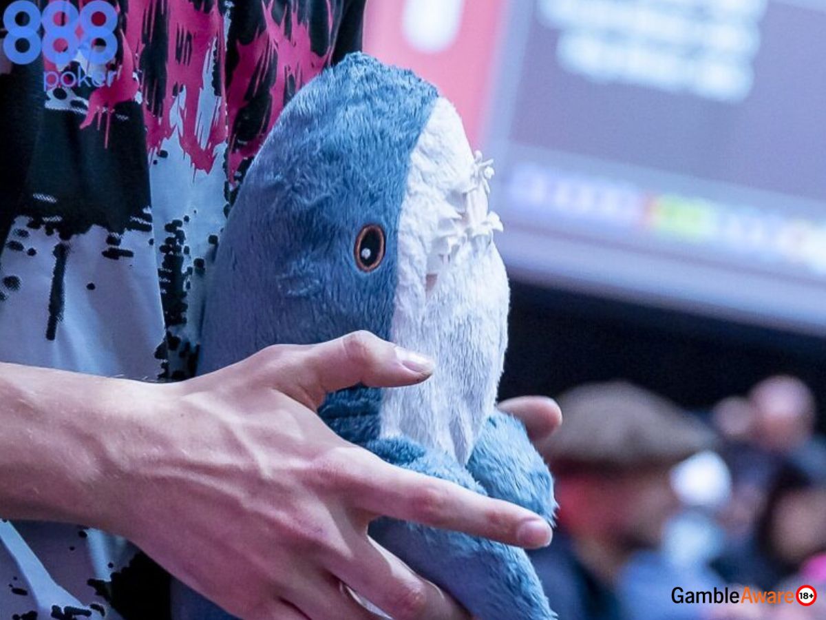 What Is a Whale in Poker? A Beginner's Whale Guide