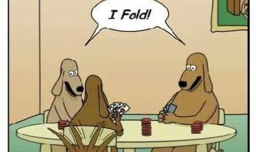Top 15 Poker Memes - Funniest Poker Memes EVER